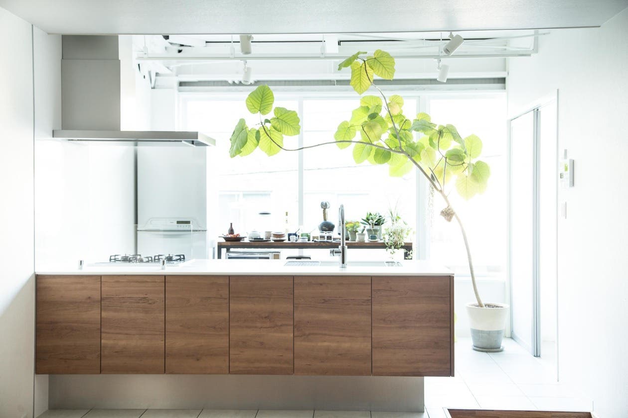 STUDIO AOTOの写真8