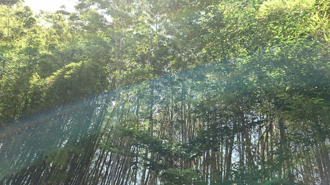 【築120年の古民家】都内から１時間！自然豊かな空間で寛ぎませんか？ロケ撮影/食事会/パーティー/研修会/セミナーなどに【埼玉】の写真13