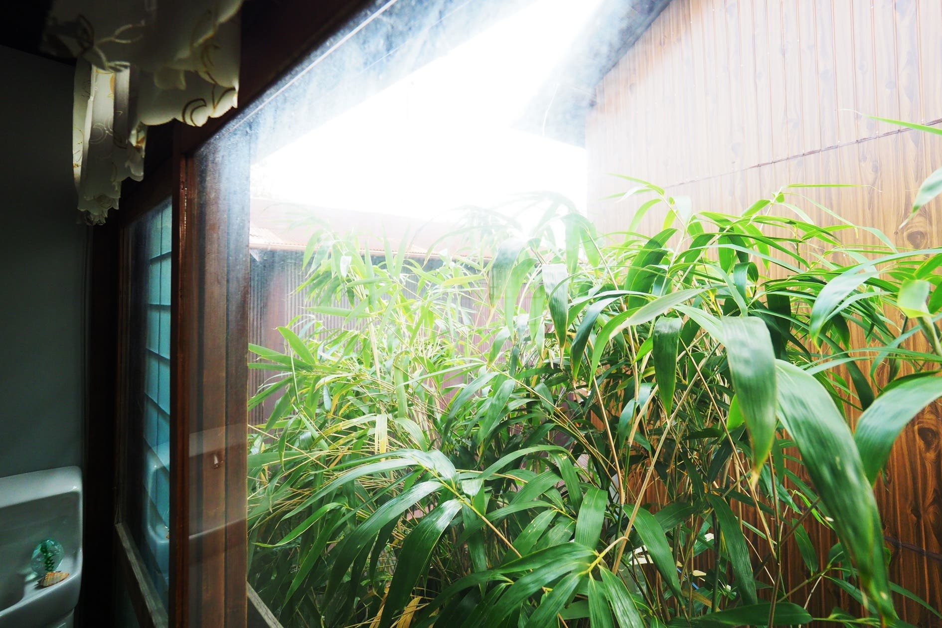 鎌倉由比ガ浜の築90年の古民家ゲストハウスを利用する。の写真8