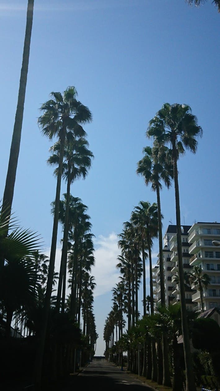 Zushi-Kamakura Ocean View Houseの写真15