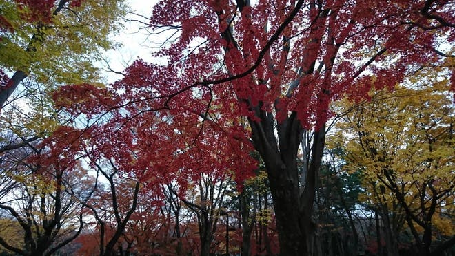 Zushi-Kamakura Ocean View Houseの写真23