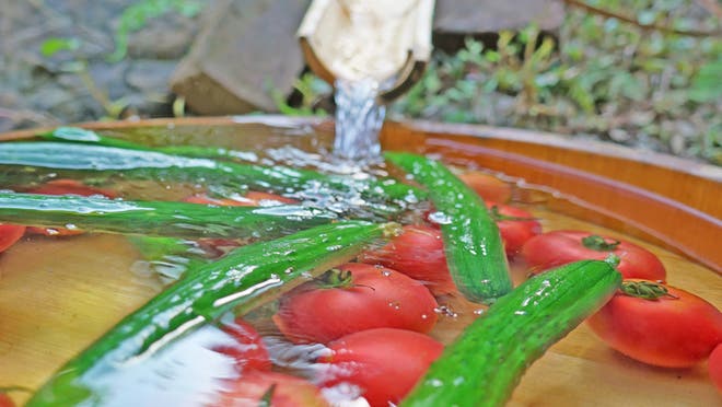 ※ロケハン予約専用【七五三、コスプレ、古民家、マンション】飯田屋【都心から20分、竹林を抜けると別世界。四季折々の花々がお迎えの写真24