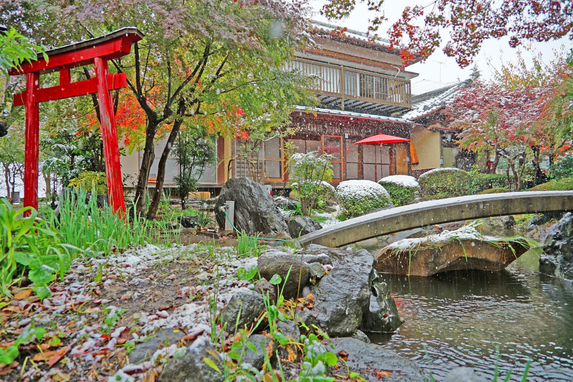 ※ロケハン予約専用【七五三、コスプレ、古民家、マンション】飯田屋【都心から20分、竹林を抜けると別世界。四季折々の花々がお迎えの写真21