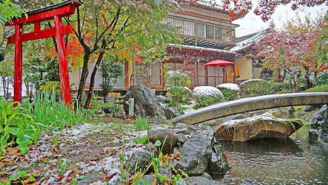 ※ロケハン予約専用【七五三、コスプレ、古民家、マンション】飯田屋【都心から20分、竹林を抜けると別世界。四季折々の花々がお迎えの写真21