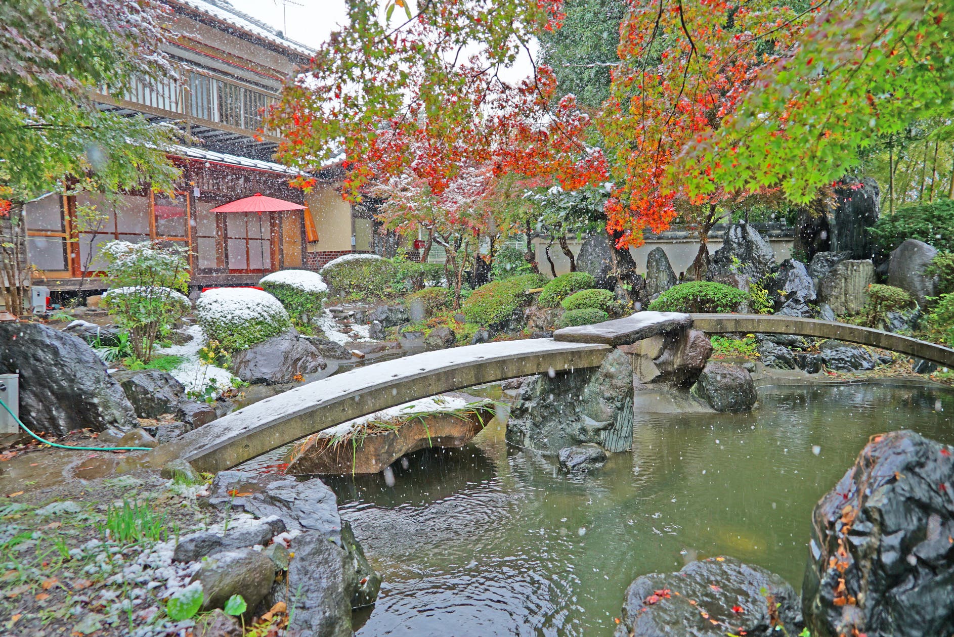 ※ロケハン予約専用【七五三、コスプレ、古民家、マンション】飯田屋【都心から20分、竹林を抜けると別世界。四季折々の花々がお迎えの写真25