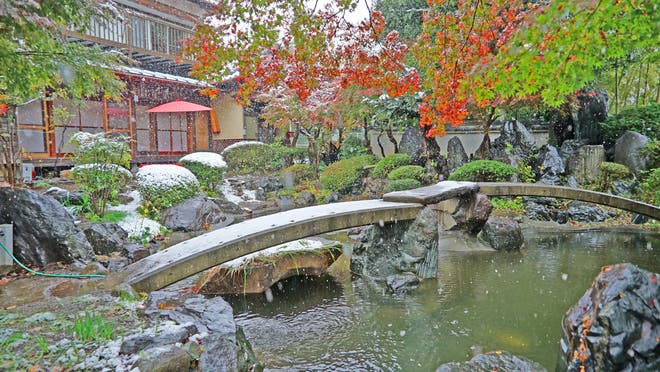 ※ロケハン予約専用【七五三、コスプレ、古民家、マンション】飯田屋【都心から20分、竹林を抜けると別世界。四季折々の花々がお迎えの写真25