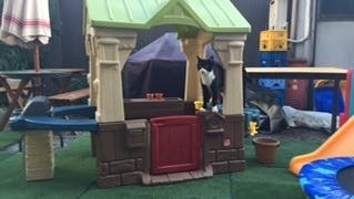 Traditional Kyoto Houseの写真2