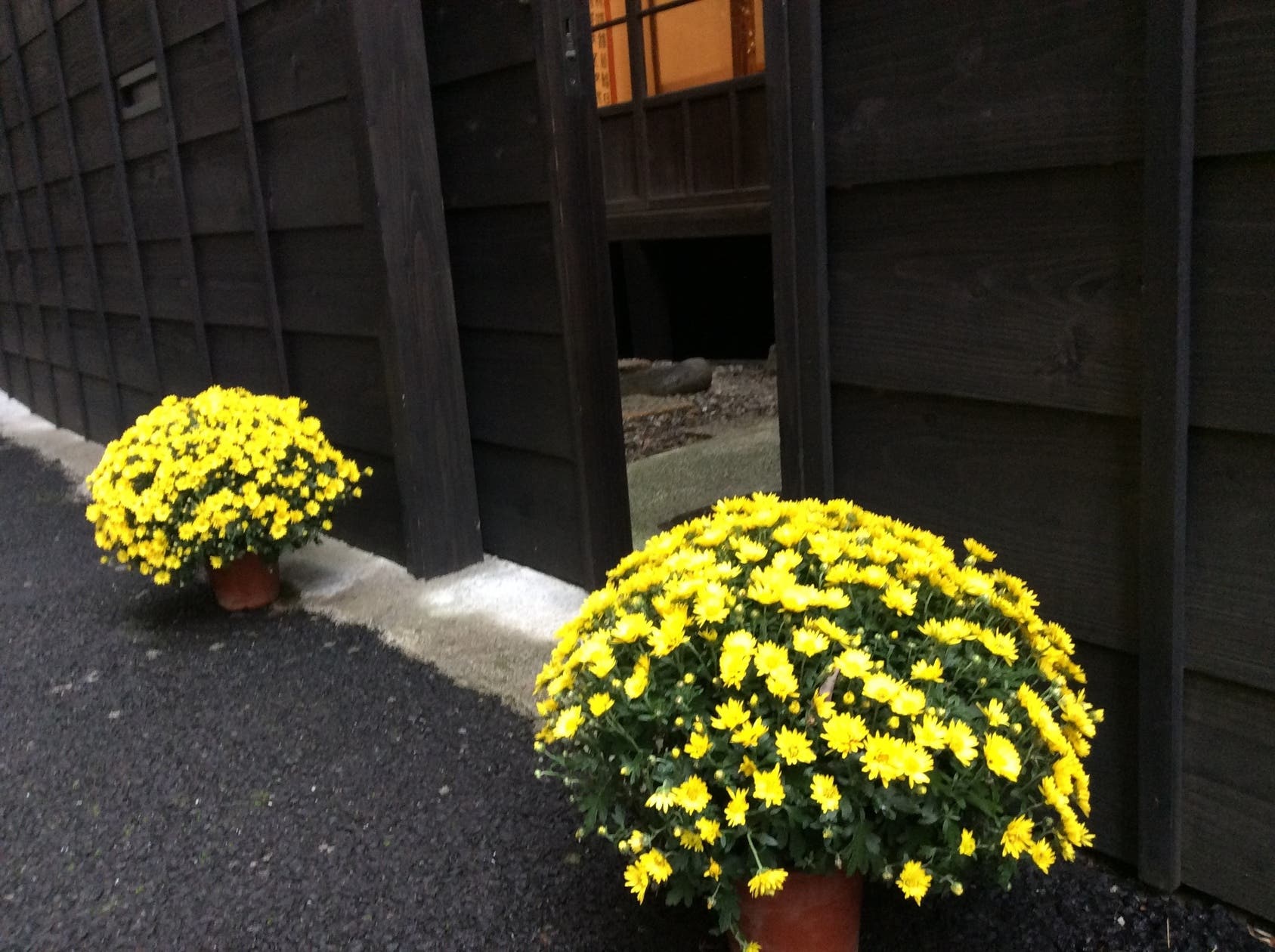 季節を感じる 小石川大正住宅【文京区 春日駅徒歩3分、東京ドームにも近い】の写真26