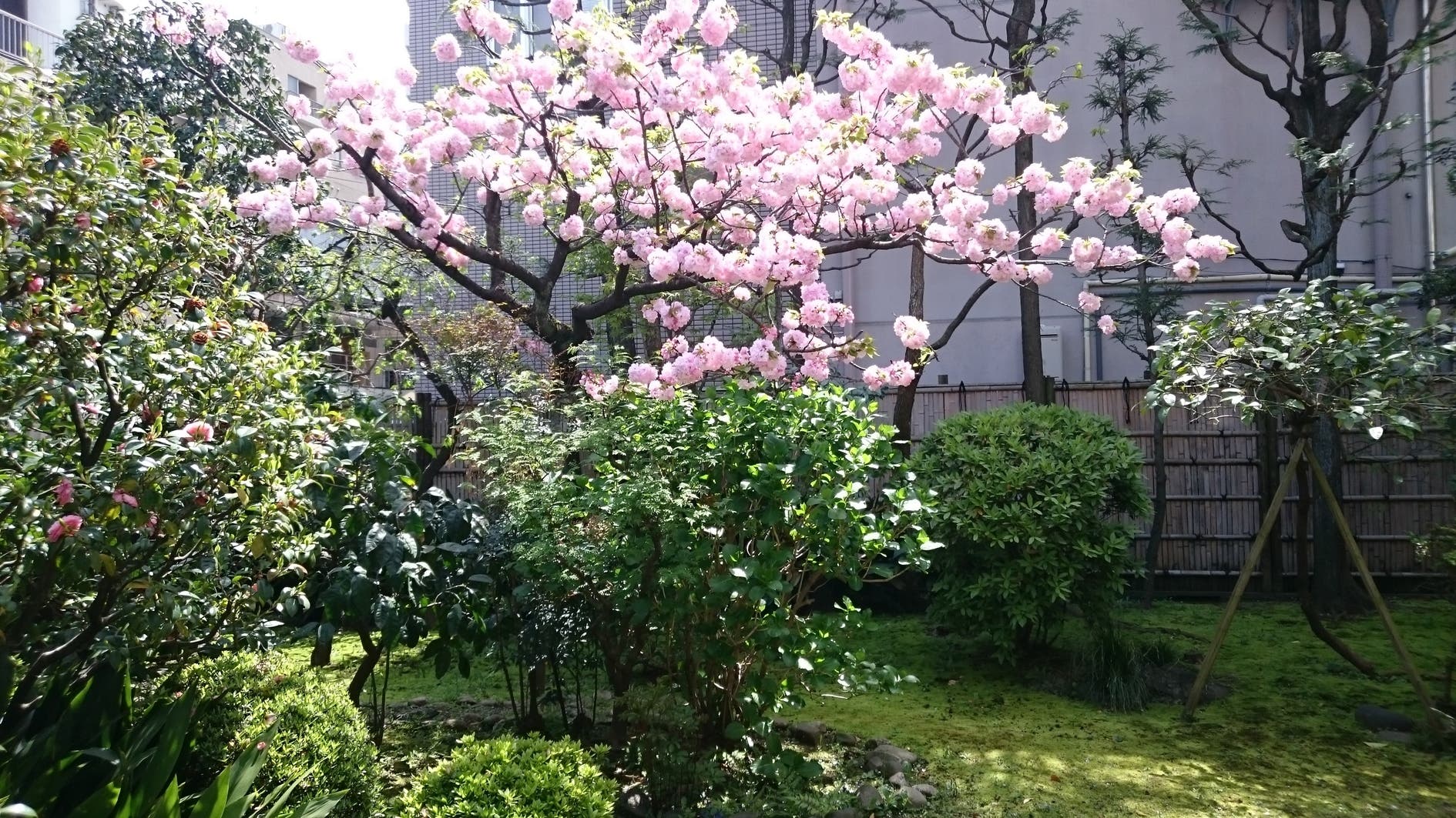 代官山駅徒歩１分　アパレル・ジュエリー等の展示会、庭の風情を生かしたロケ利用、コスプレなどにオススメの貸しスペースですの写真7