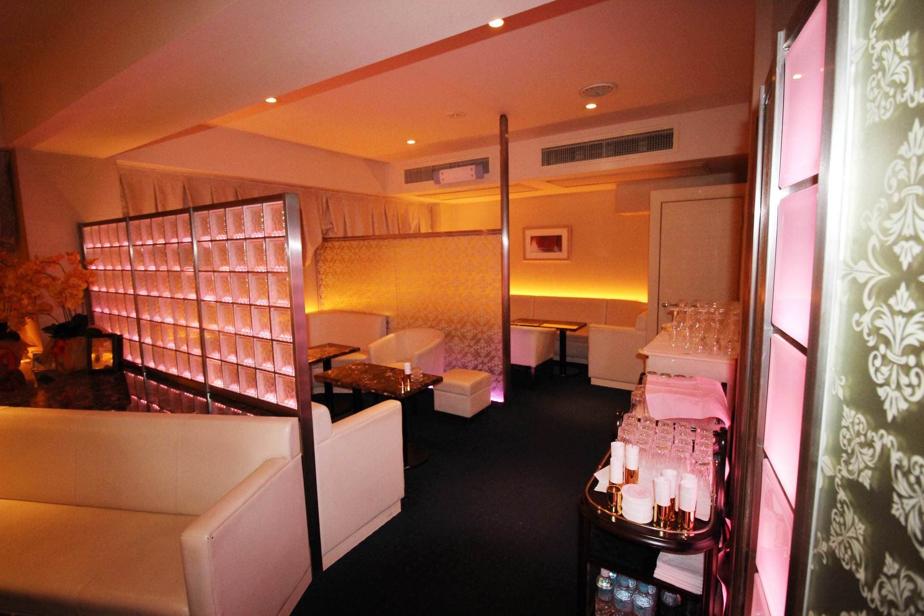 【中央区　銀座駅徒歩2分】50坪の大箱！会員制高級クラブを貸切！！！パーティー・イベント・撮影に最適です！の写真11