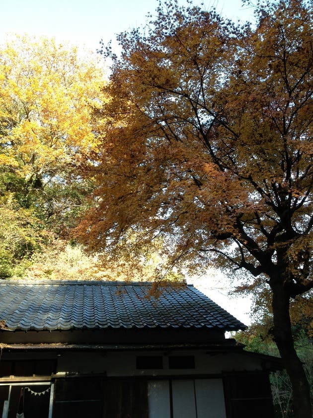 【鎌倉】ミニキッチン付き！北鎌倉の古民家でオフサイトミーティング！の写真8