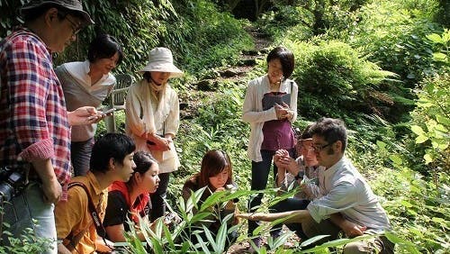 【鎌倉】ミニキッチン付き!北鎌倉の古民家でオフサイトミーティング!の写真20