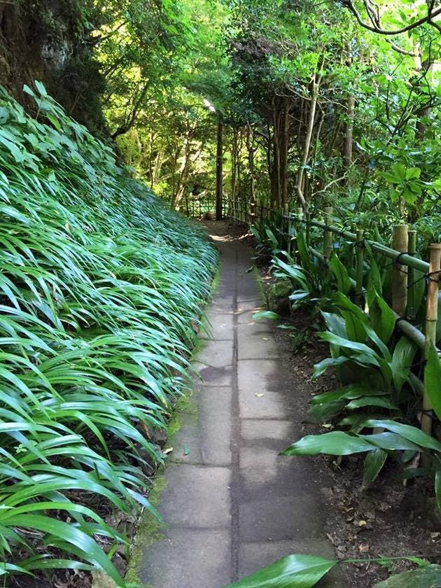 【鎌倉】ミニキッチン付き！北鎌倉の古民家でオフサイトミーティング！の写真24