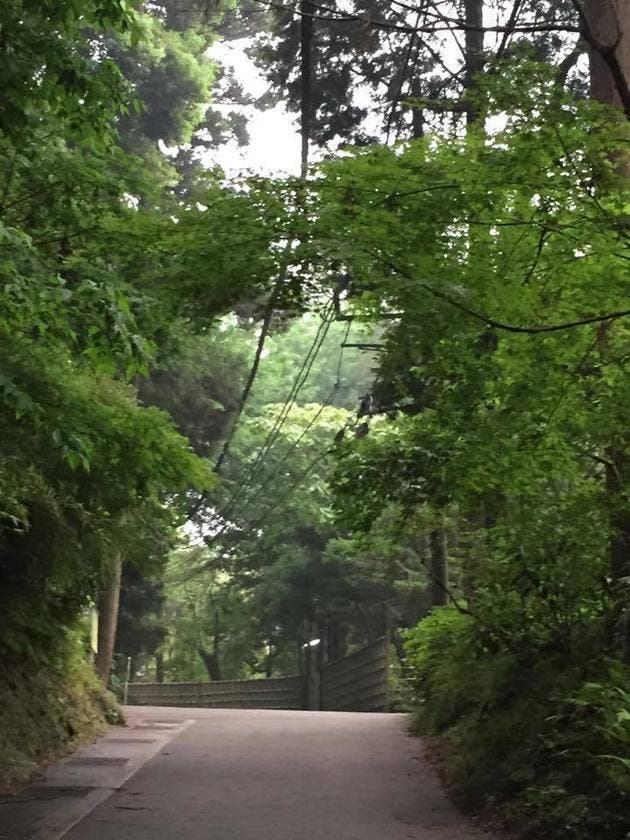 【鎌倉】ミニキッチン付き！北鎌倉の古民家でオフサイトミーティング！の写真23