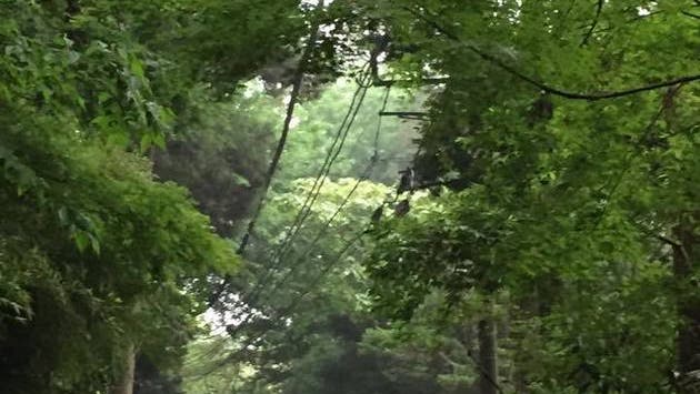 【鎌倉】ミニキッチン付き!北鎌倉の古民家でオフサイトミーティング!の写真23