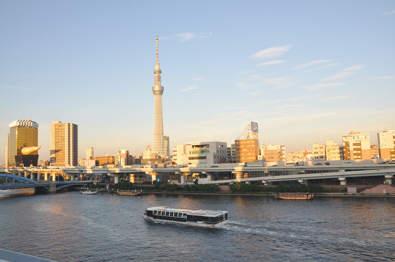 大きな窓と屋上テラスのソファーからのロケーションは最高！！スカイツリーが一望。隅田川に面した隠れ家的なプライベート空間です。の写真11