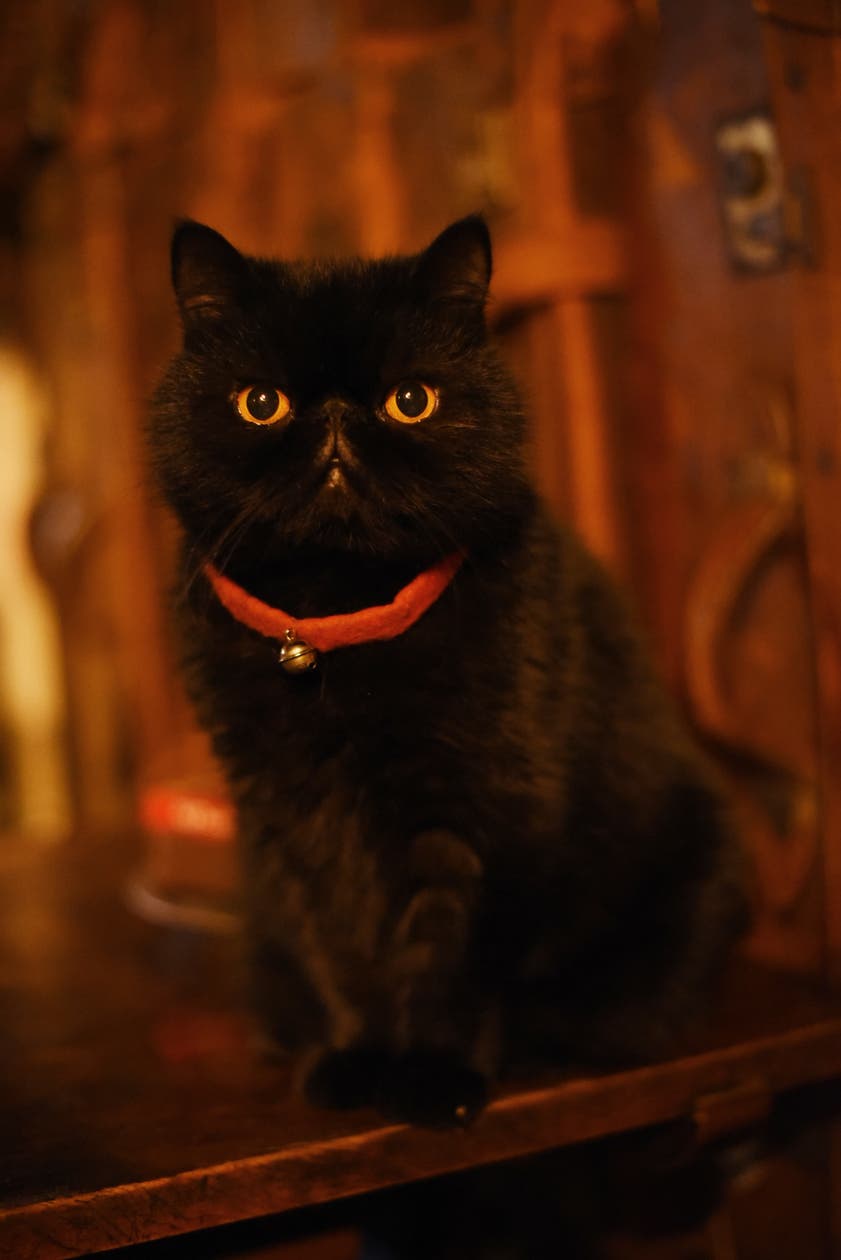 《中央線•阿佐ヶ谷》⛄️❄️レトロアンティーク❄️⛄️☕️カフェで撮影！コスプレYouTube撮影に！の写真20