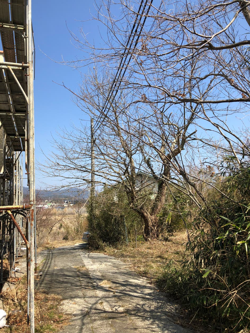 近江舞子、大阪、京都からアクセス抜群！琵琶湖まで徒歩5分、比良山が一望できる森のコテージまるまる貸切の写真34