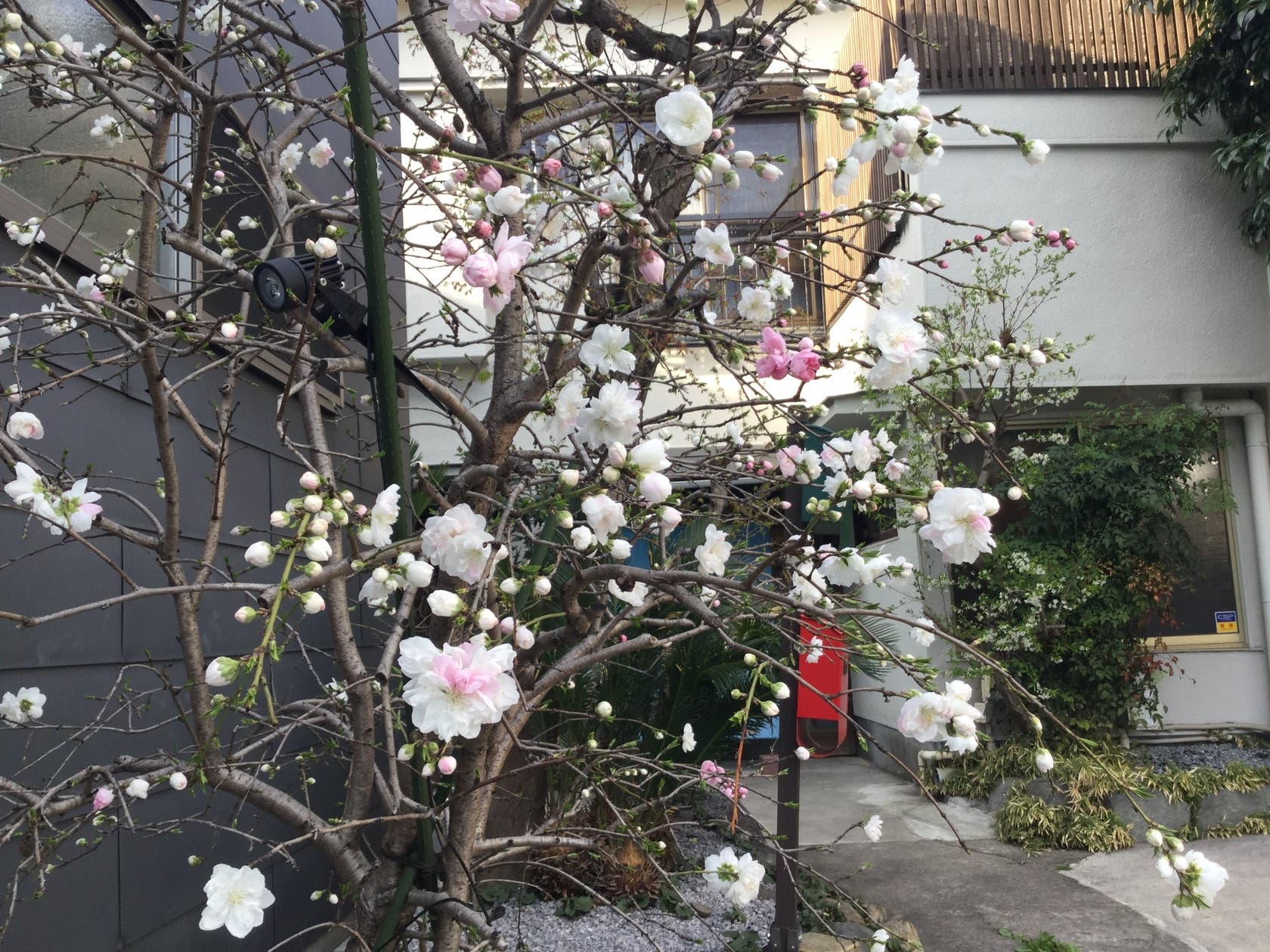 【都内の古民家／上野・西日暮里・北千住・町屋エリア】パーティー、商品撮影、ロケ撮影、コスプレ撮影・会議等に。の写真23