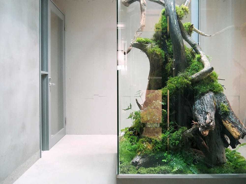 PROP 表参道の写真11