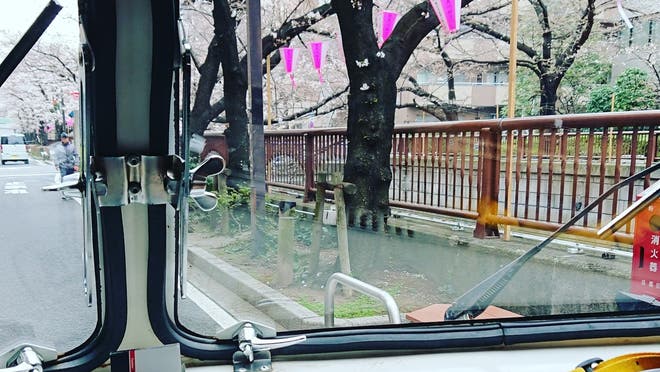 渋谷ワゴンリムジンor撮影orレンタルの写真16