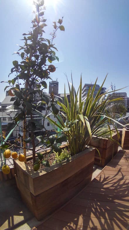 [GOODWORK]代々木八幡駅から徒歩４分！屋上貸切で屋外の会議やロケーション等にご利用下さい！の写真3