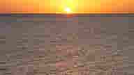 BBQ MUSICspot Galaxy of Spaceの写真2