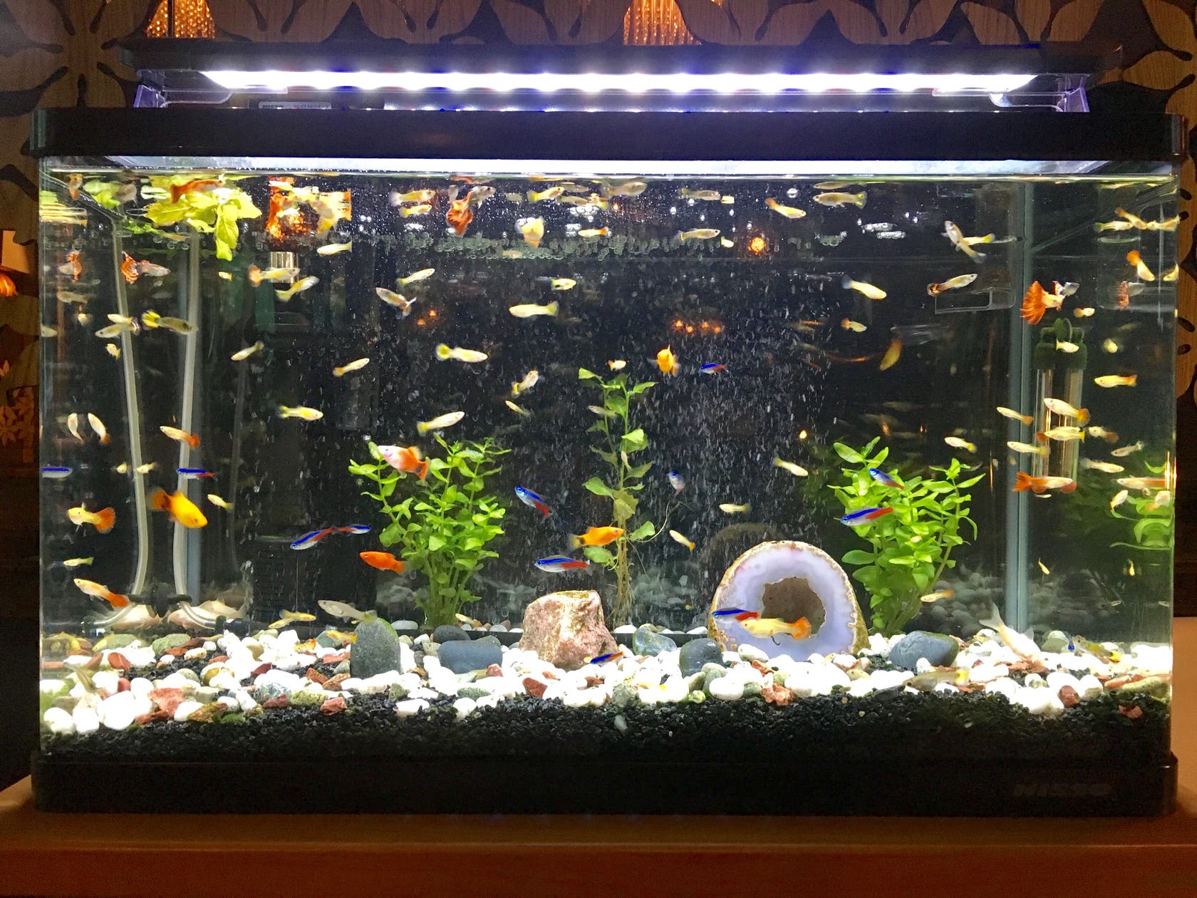 JR蒲田駅東口3分！100インチ大画面、プライベート空間で・飲食・コスプレ・スポーツ観戦・ゲーム大会・会議・撮影にの写真11