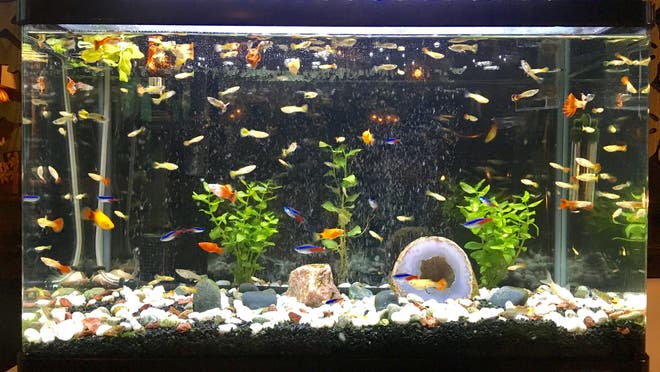 JR蒲田駅東口3分!100インチ大画面、プライベート空間で・飲食・コスプレ・スポーツ観戦・ゲーム大会・会議・撮影にの写真11