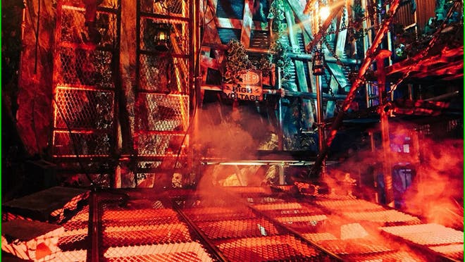 スタジオハムスター4匹目! コスプレ撮影、アーティスト撮影、ドール撮影などに♪ 商業利用も可能!の写真2