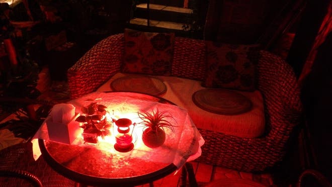 女子会.ママ会.お誕生日会に!の写真14