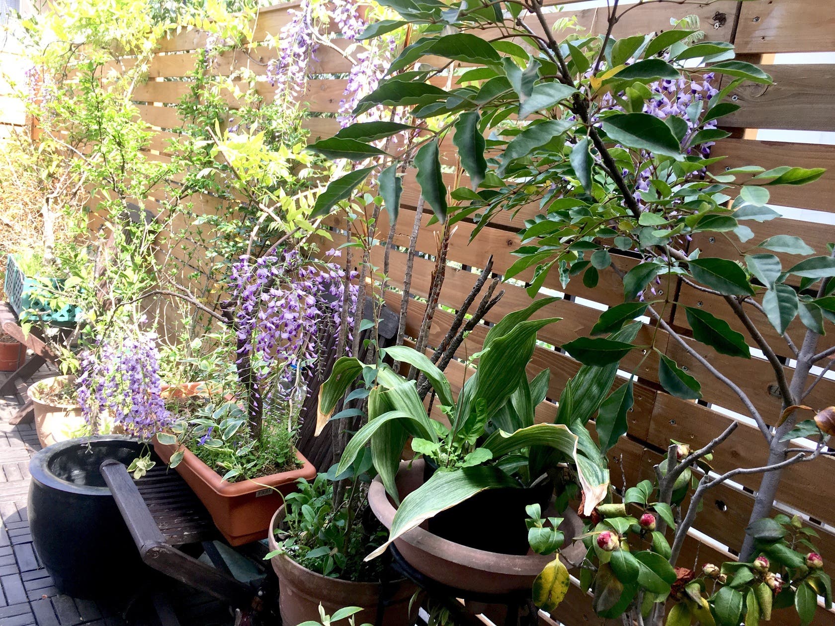 駅2分【古民家オアシス南雪谷】1棟貸し〈リモートワーク・写真・動画撮影・イベント・セミナー会場に〉の写真6