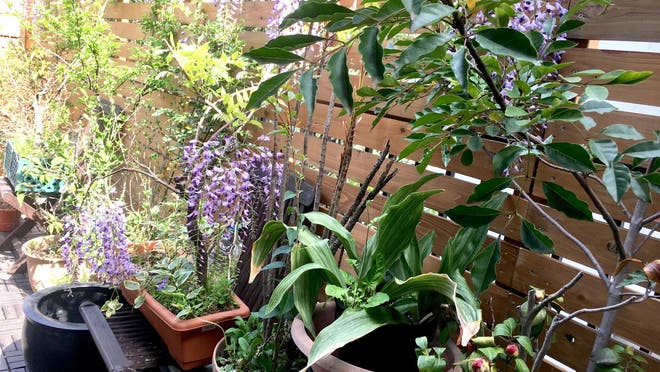 駅2分【古民家オアシス南雪谷】1棟貸し〈リモートワーク・写真・動画撮影・イベント・セミナー会場に〉の写真6