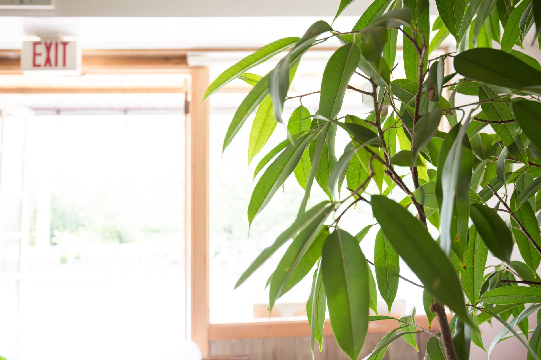 【大阪•天満橋 徒歩5分】川沿いに面した1階のスペース！ロケーション抜群！撮影やイベント利用などに！の写真10