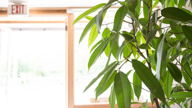 【大阪•天満橋 徒歩5分】川沿いに面した1階のスペース!ロケーション抜群!撮影やイベント利用などに!の写真10