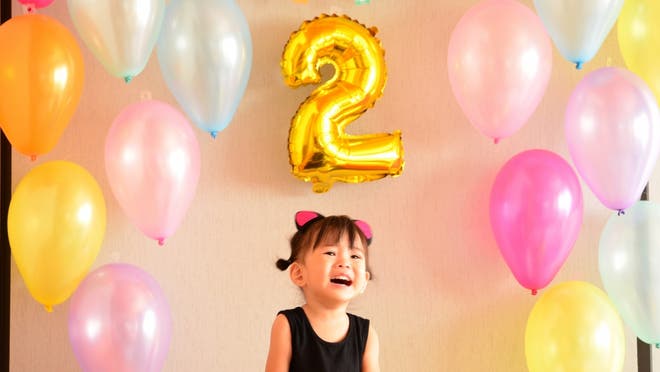 🎅クリスマス装飾🎄🔔【駅前】緑広がる和らぎのボタニカルスペース♪大阪市/北区/梅田/扇町/天満/南森町のイベント・会議にの写真14