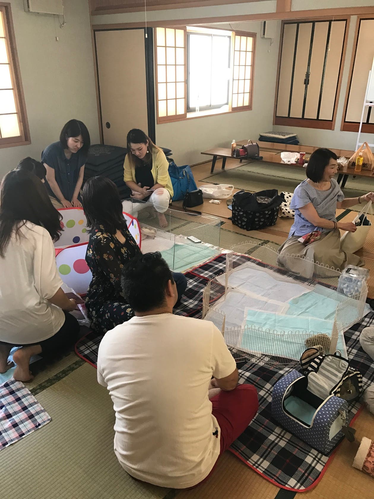 お寺の一角で・お稽古事・会議・ワークショップ・YouTube撮影などして見ませんか？の写真6