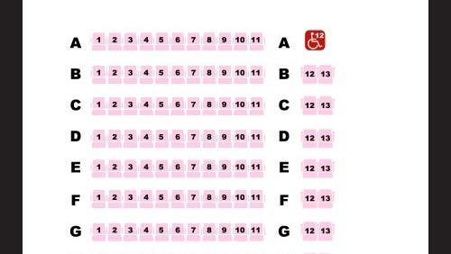 【幸手 137席】映画館で、会社説明会、株主総会、講演会の企画はいかがですか?の写真2
