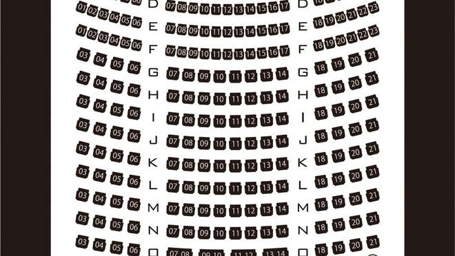 【大津 272席】映画館で、会社説明会、株主総会、講演会の企画はいかがですか?の写真2