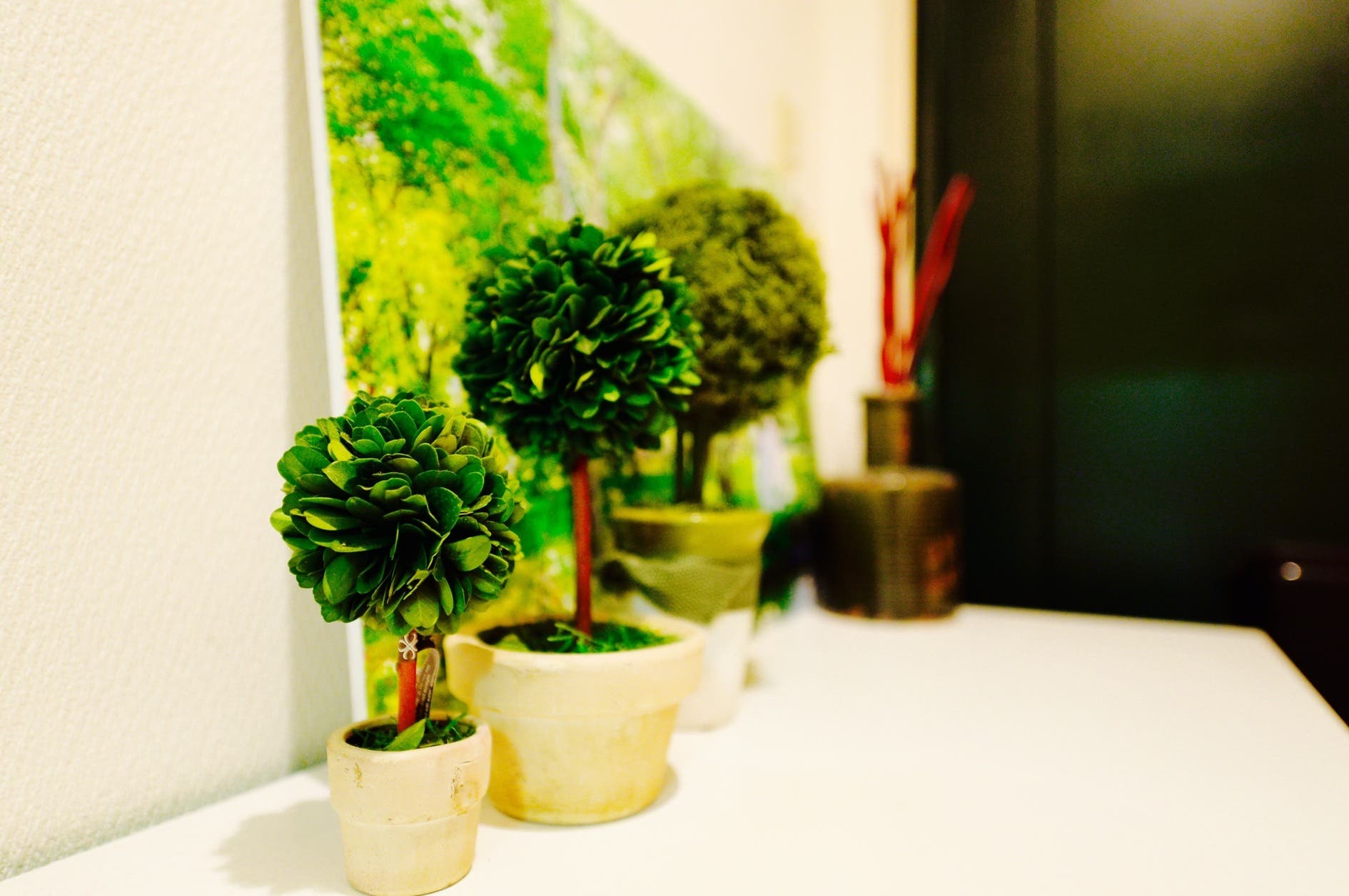 代官山の隠れ家の写真9