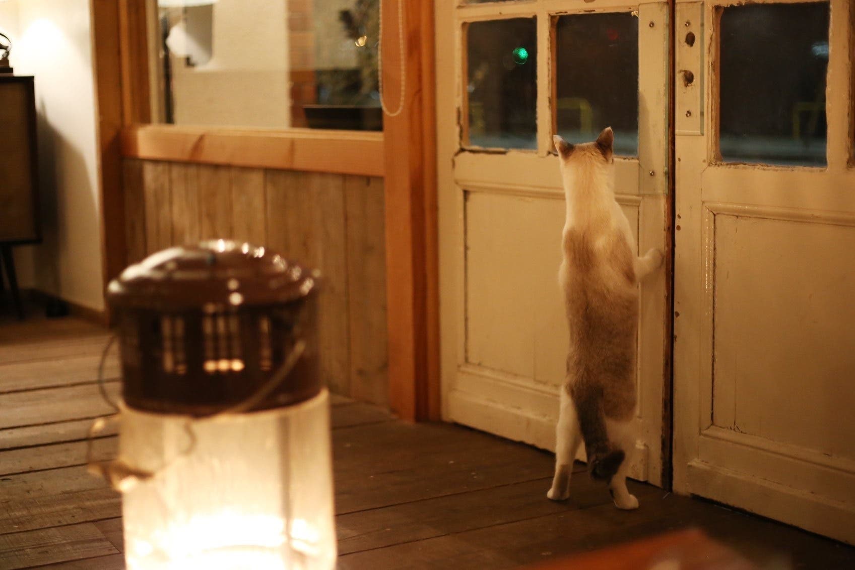 【大阪•天満橋 徒歩5分】川沿いに面した1階のスペース！ロケーション抜群！撮影やイベント利用などに！の写真21