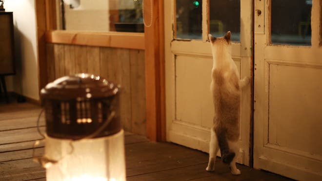 【大阪•天満橋 徒歩5分】川沿いに面した1階のスペース!ロケーション抜群!撮影やイベント利用などに!の写真21