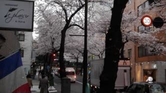 【市ヶ谷・九段下・半蔵門駅から徒歩約7分】煌~グランドピアノ&ドラム常設のイベントスペース~の写真29