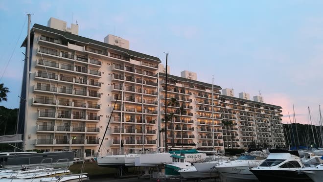 自然豊かな森 綺麗な夕日 静かな海 壮大な富士山を見ながらバーベキューでもしてゆっくりしましょう。海遊びもね。の写真2