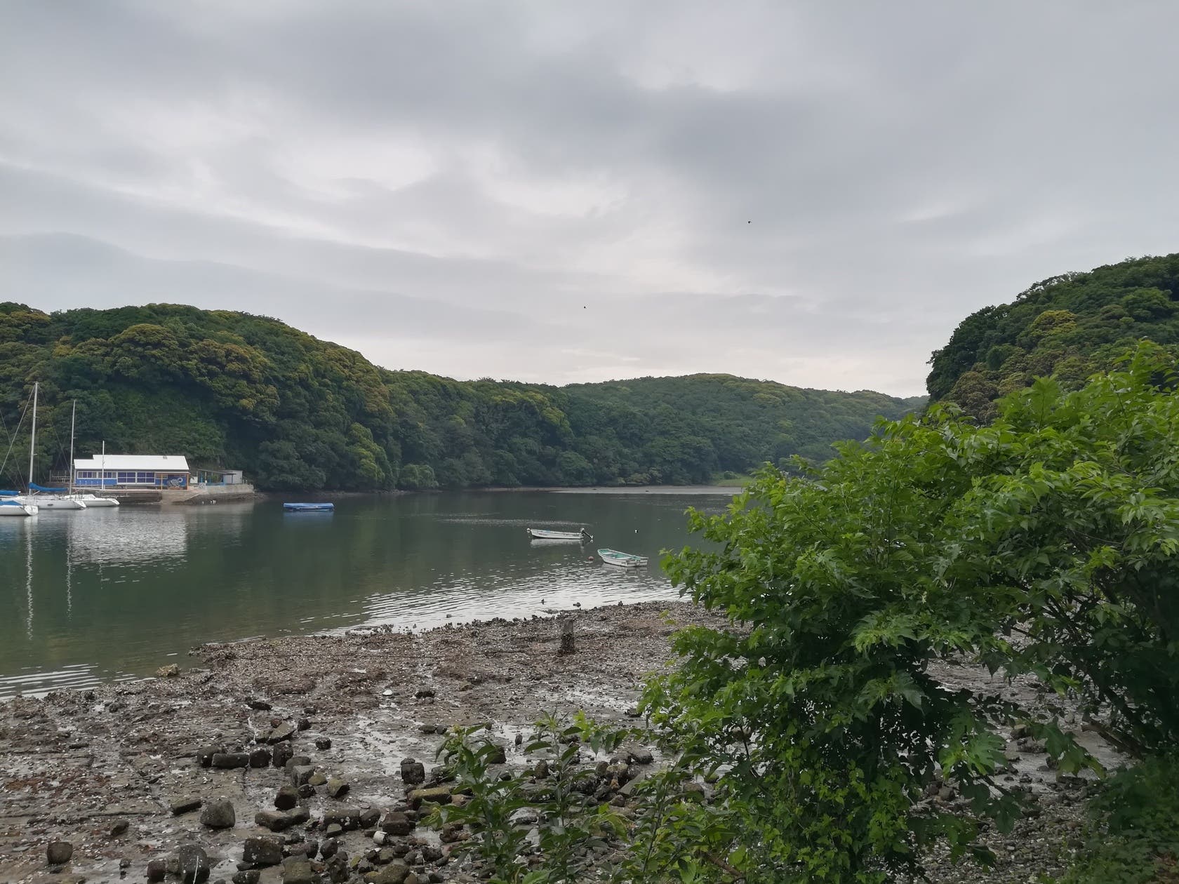 自然豊かな森　綺麗な夕日　静かな海　壮大な富士山を見ながらバーベキューでもしてゆっくりしましょう。海遊びもね。の写真13