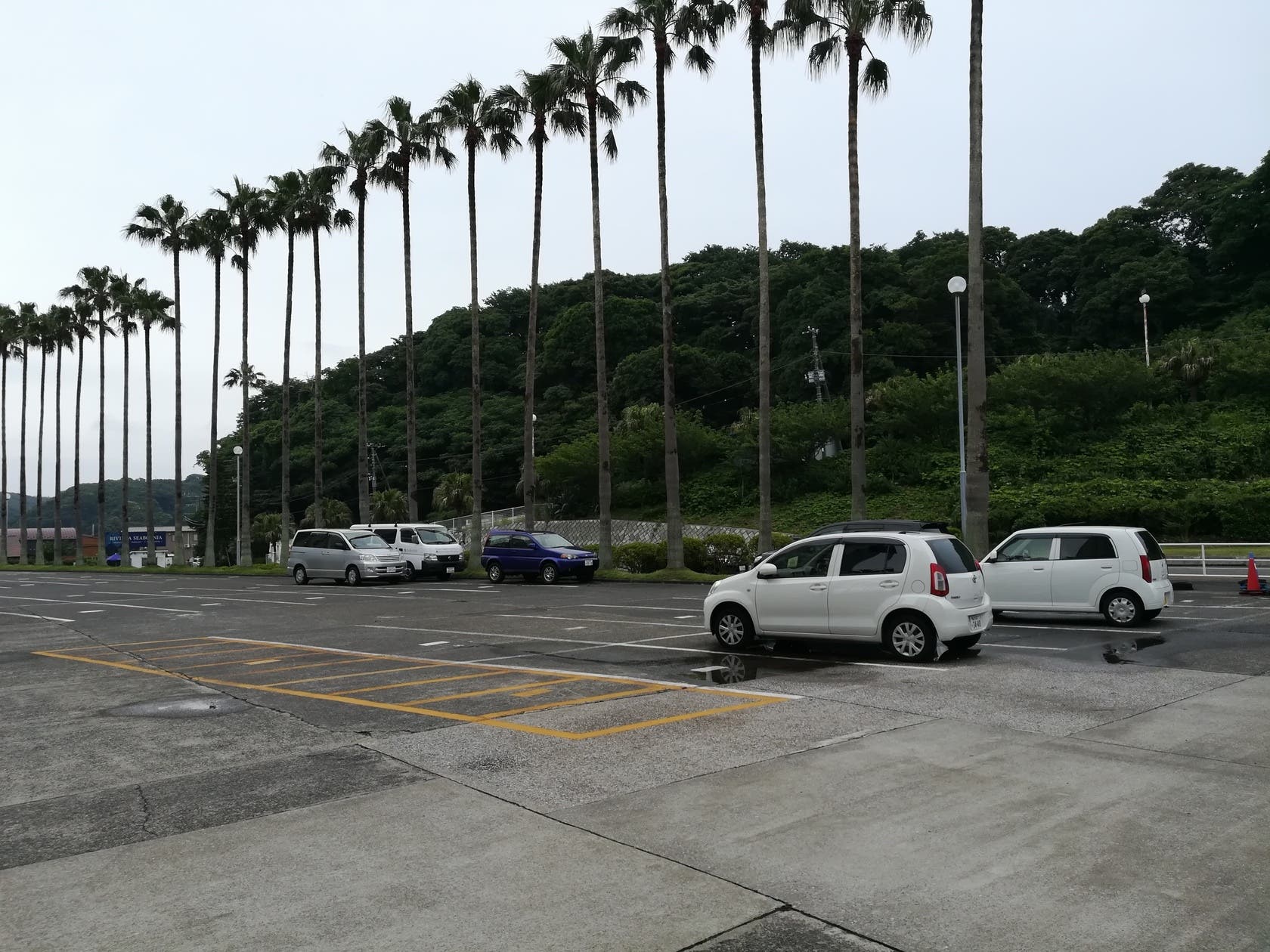 自然豊かな森　綺麗な夕日　静かな海　壮大な富士山を見ながらバーベキューでもしてゆっくりしましょう。海遊びもね。の写真14