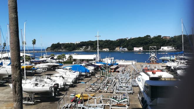 自然豊かな森 綺麗な夕日 静かな海 壮大な富士山を見ながらバーベキューでもしてゆっくりしましょう。海遊びもね。の写真1