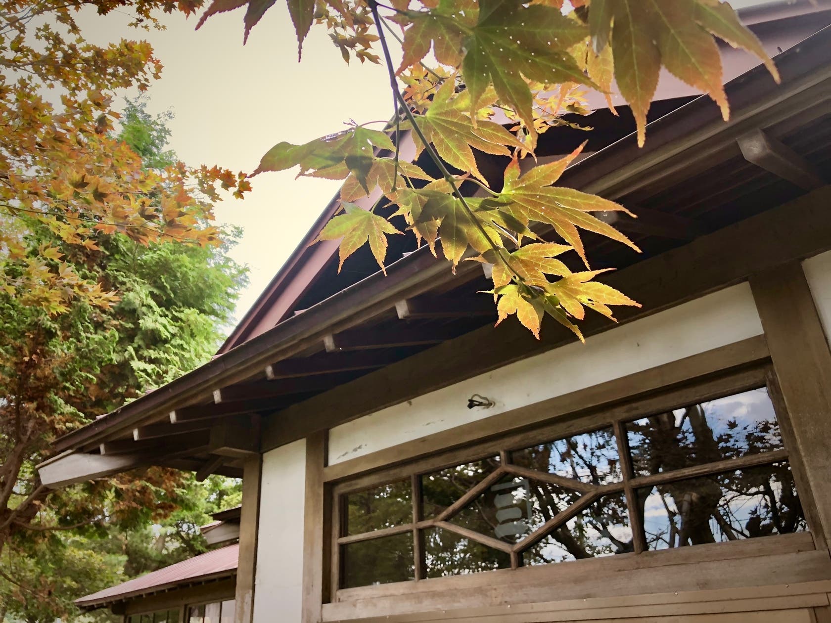 北海道の古民家でコスプレ・ぬい活！　「First Love 初恋」の晴道の実家です。の写真12