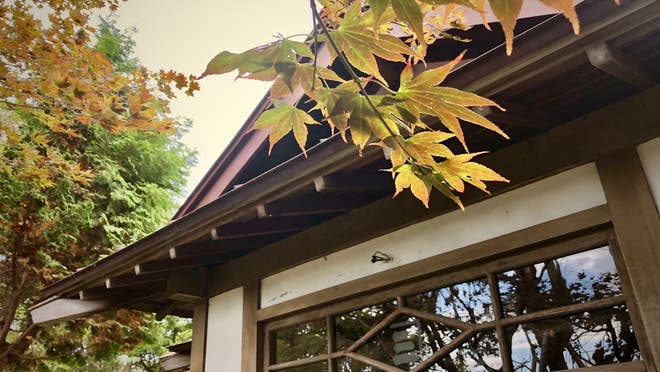 北海道の古民家でコスプレ・ぬい活! 「First Love 初恋」の晴道の実家です。の写真12