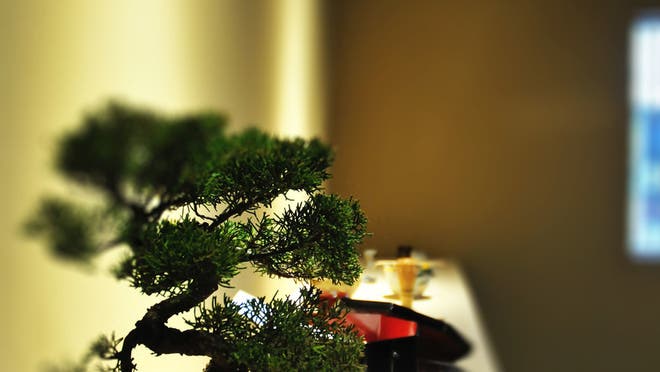 お茶が飲める二階建て京町家風スペースの写真7